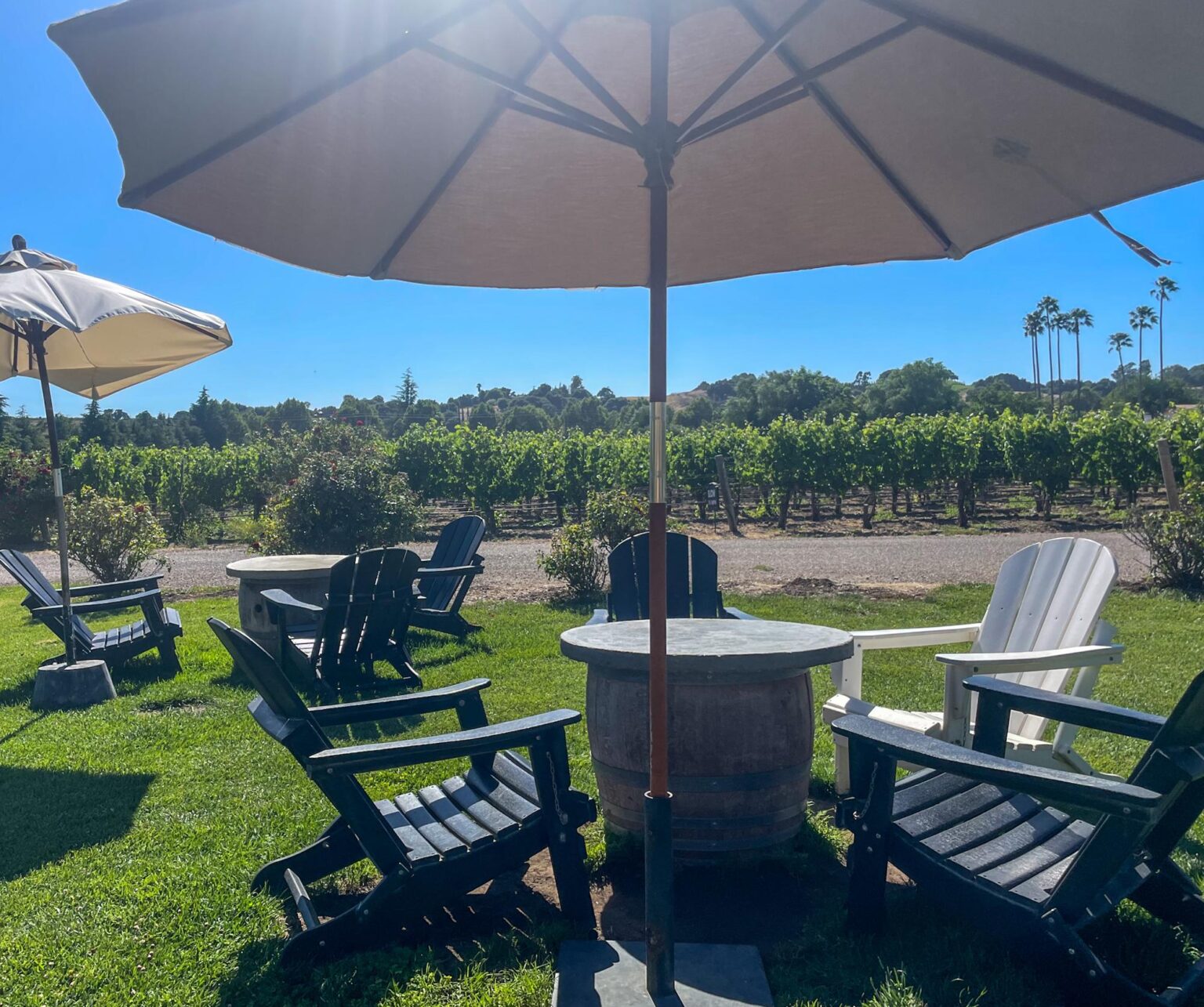 2-Day Santa Barbara Itinerary: Best Things to Do + Eat