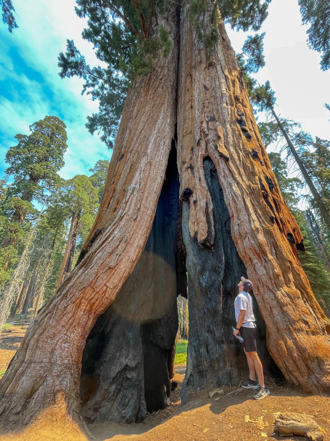 A Perfect A Perfect 1-Day Sequoia National Park Itinerary
